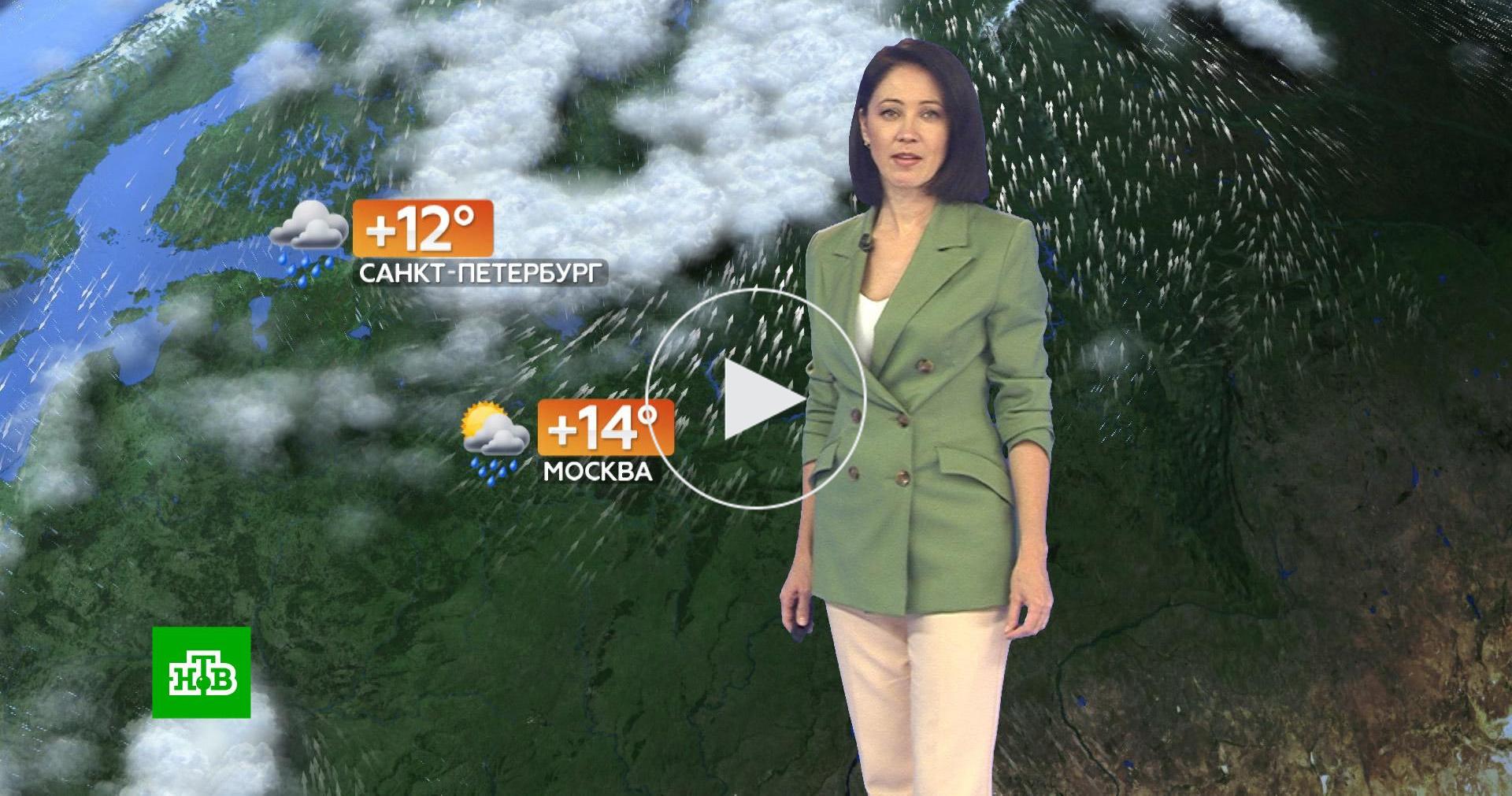 Прогноз погоды на 20 сентября // НТВ.Ru