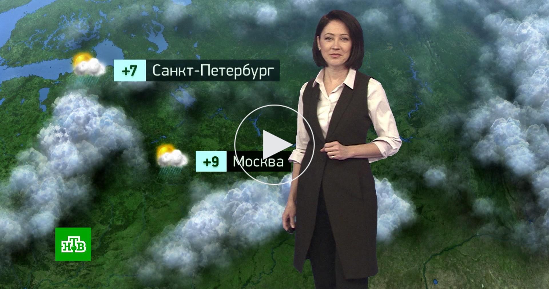 Утренний прогноз погоды на 19 октября // НТВ.Ru